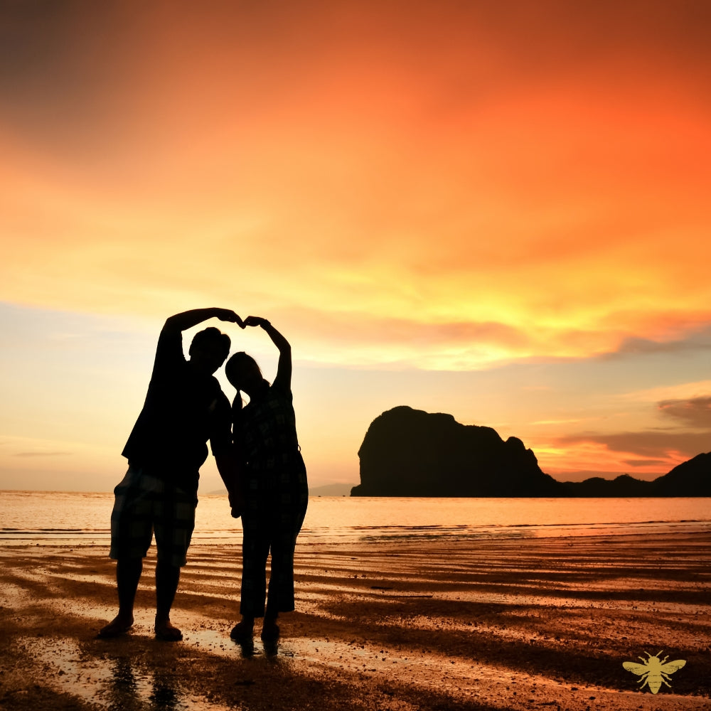 Brazilian Crush Cheirosa '71 (type) Fragrance Oil | Sol de Janeiro ...