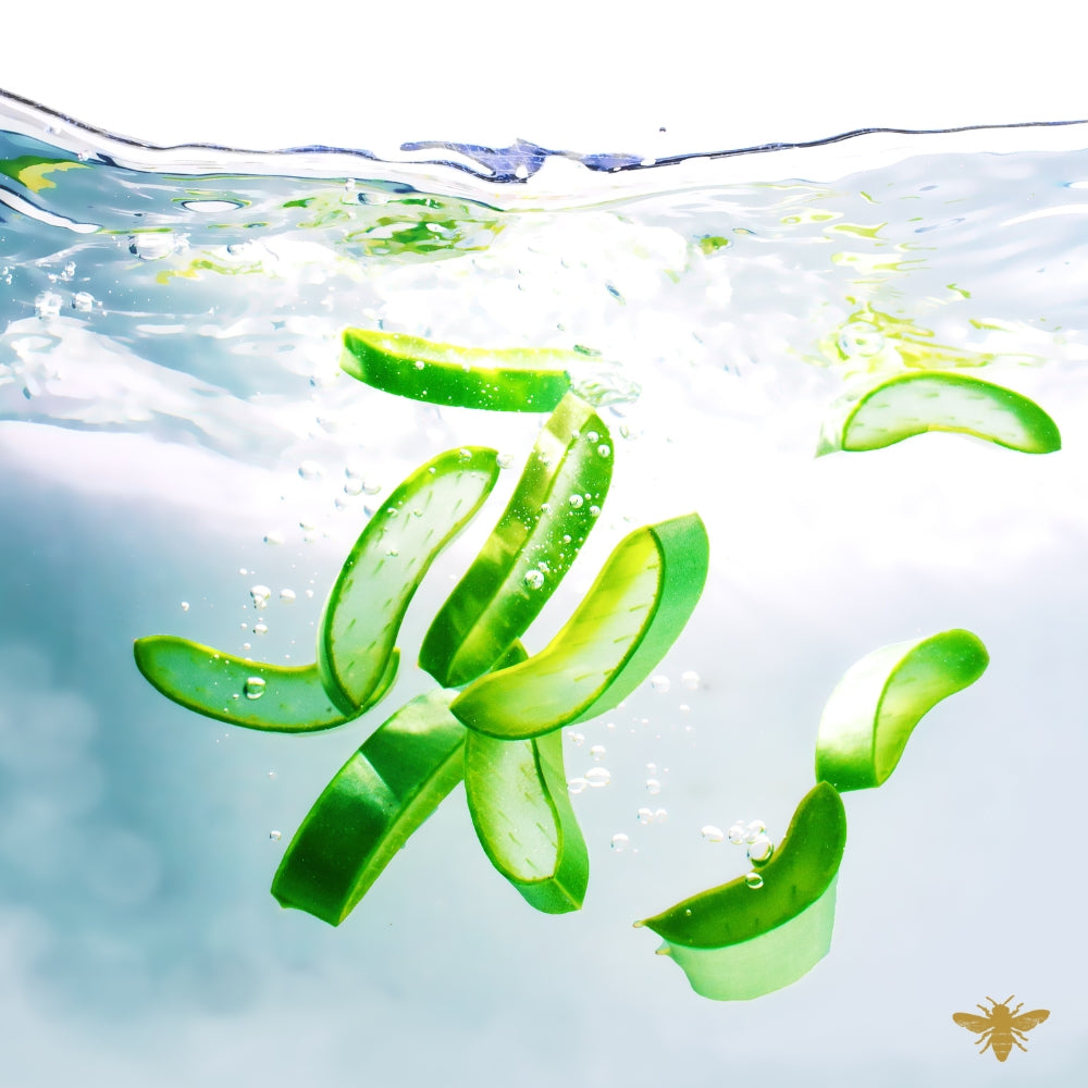 Freshwater + Aloe Fragrance Oil | Clean Candle, Soap, and Lotion ...