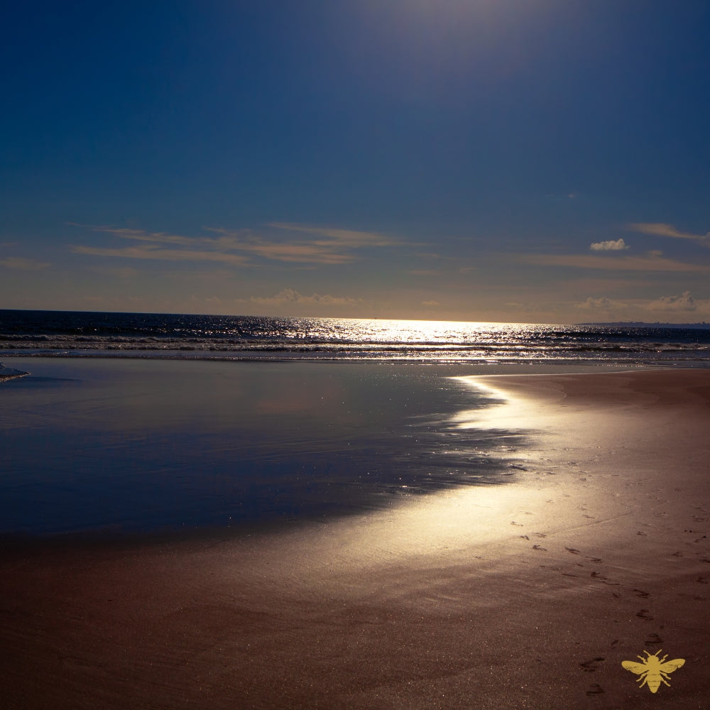 Midnight Tides Fragrance Oil | Clean Candle, Soap, and Lotion Fragrance Oil