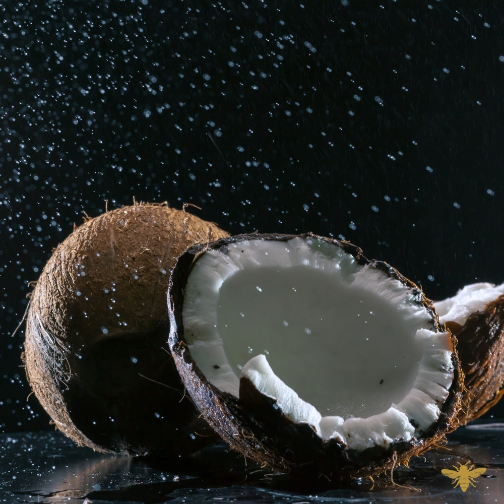 Black Coconut Fragrance Oil | Clean Candle, Soap, and Lotion Fragrance Oil