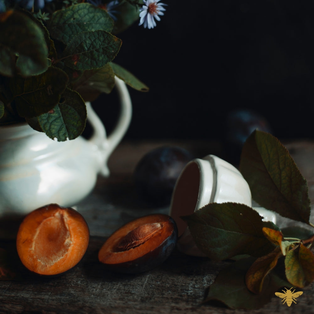 Plum Poetry Fragrance Oil | Clean Candle and Soap Fragrance Oil